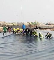 Cina Geomembrana in HDPE a doppia consistenza per serbatoi di allevamento di pesci a bambusa in vendita