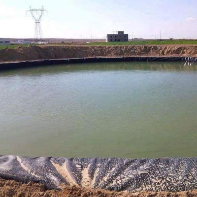 中国 1mm HDPE 地膜 魚の池面 防水 池面 0.5mm 黒 白 緑 青 販売のため