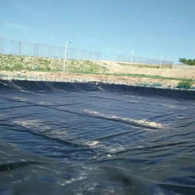 Cina Doppia geomembrana liscia/doppia consistenza, serbatoio di fogli di HDPE di 0,5 mm di spessore, fogli di plastica, membrana in vendita