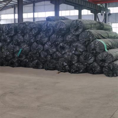 Cina Doppia geomembrana liscia/doppia consistenza, serbatoio di fogli di HDPE di 0,5 mm di spessore, fogli di plastica, membrana in vendita