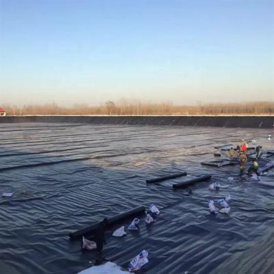 Cina 50-100m/roll 1.0mm Pond Liner Geomembrane per il progetto di piscina nelle Filippine in vendita