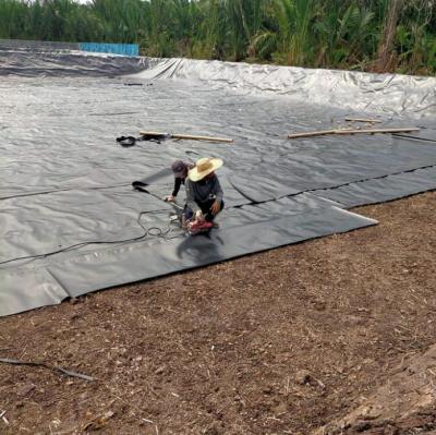 Cina 50-100m/roll 1.0mm Pond Liner Geomembrane per il progetto di piscina nelle Filippine in vendita