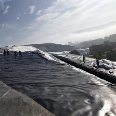 Cina 1.0mm Geomembrana 2mm Hdpe Geomembrana 20 Mil Pond Liner per Geomembrane 1m-8m Larghezza in vendita