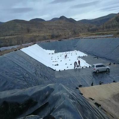 Cina Geomembrane doppiamente lisce in HDPE La soluzione definitiva per il rivestimento di stagni di allevamenti di gamberetti in vendita