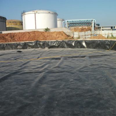 Cina Geomembrana HDPE a superficie doppia liscia/doppia trama per rivestimento impermeabile di stagno in plastica in vendita