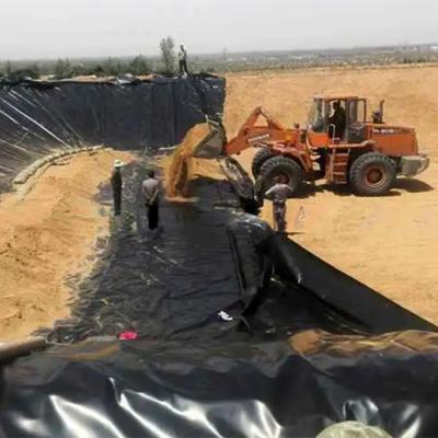 Cina Geomembrana in HDPE a superficie doppia liscia resistente alla corrosione da 0,5 mm per l'allevamento di gamberetti in vendita