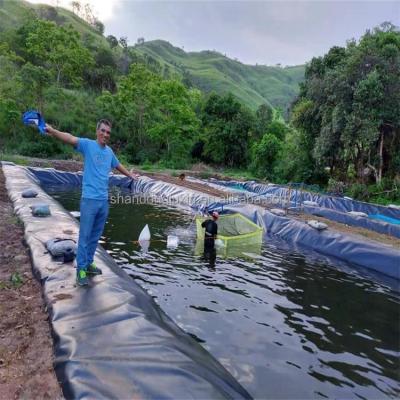 中国 0.75mm HDPE 地膜 水質養殖用水性膜 魚類とガキのタンクラインナー 販売のため