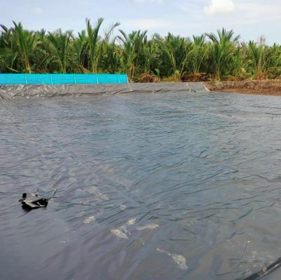 Cina Udg Layfield Geomembrane per il progetto di riserva del Sudafrica in superficie doppia liscia in vendita
