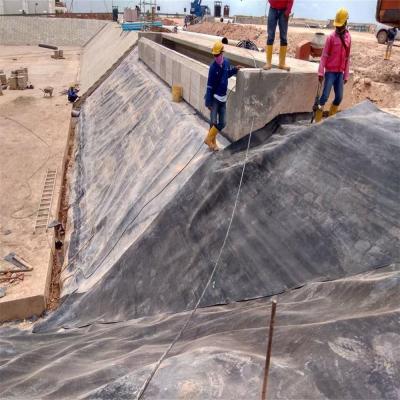 Cina Doppia superficie liscia LDPE Geomembrana rivestimento di stagno rivestimento per la protezione dell'acqua superiore in vendita