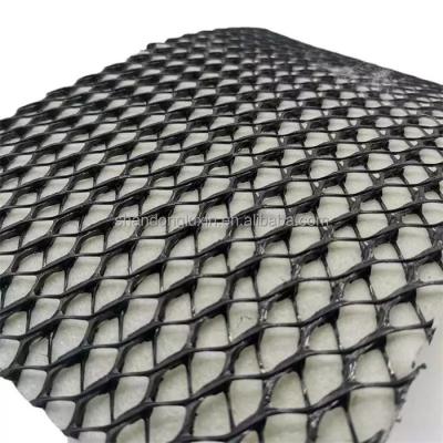 Cina Rete geosintetica tridimensionale di drenaggio composito per la costruzione di parchi in vendita