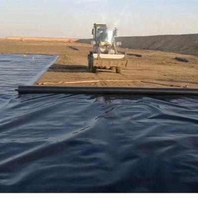 Cina Superficie liscia 0,5 mm HDPE Geomembrane Liner Sheet per materiale di stagno di allevamento del pesce in vendita