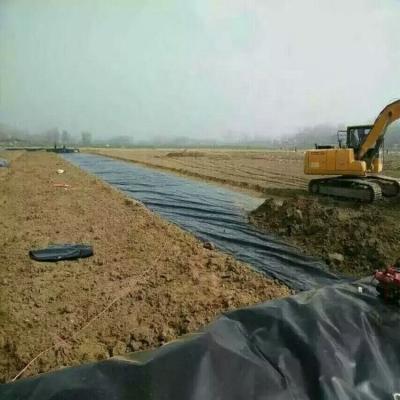 Cina Stile di progettazione industriale Geomembrana liscia in HDPE per applicazioni di discarica in vendita
