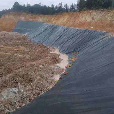 Cina Stile di progettazione industriale Geomembrana liscia in HDPE per applicazioni di discarica in vendita