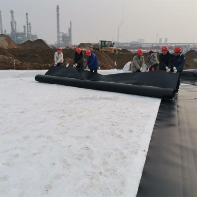 Cina Doppia superficie liscia Hdpe Geomembrana Tresluces Pond Liner per miniere e allevamenti ittici in vendita