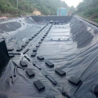Cina Doppia superficie liscia Hdpe Geomembrana Tresluces Pond Liner per miniere e allevamenti ittici in vendita