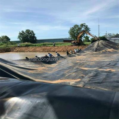 Cina Geomembrane Hdpe Geomembrane per progetti ambientali Geomembrane impermeabili in vendita