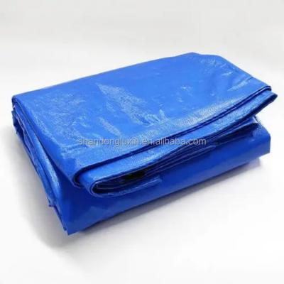 Cina LDPE per l'agricoltura all'aperto Rivestimento di polipropilene blu con copertura impermeabile in vendita