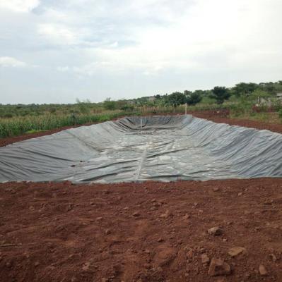 中国 500ミクロン HDPE 地膜 魚池 防水 防水用 販売のため