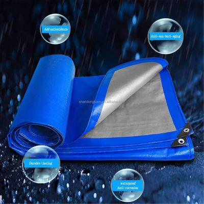 Cina Tarpaulin in PE per copertura di tetto e rivestimento di legname per la costruzione di camion in design leggero in vendita