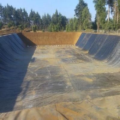 Cina Geomembrana in HDPE da 1 mm per stagni di pesce e discariche in vendita