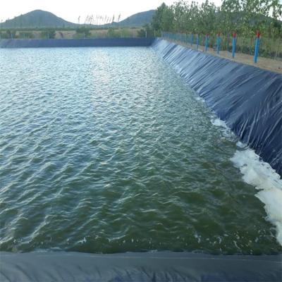 Cina Geomembrana in HDPE da 1 mm per stagni di pesce e discariche in vendita