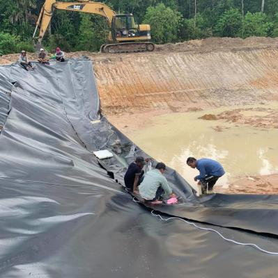 Cina 50-200m Lunghezza HDPE Geomembrane Plastic Liner for Shrimp Farming Pond Lining Solution in vendita