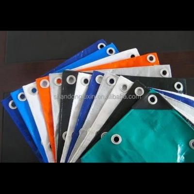 Cina LDPE rivestito di tela di plastica telone resistente all'acqua e stampa del logo in vendita