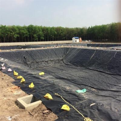 Cina Geomembrana HDPE di design tradizionale liscia/tessuta 1 mm 1,5 mm 2 mm con competitività in vendita