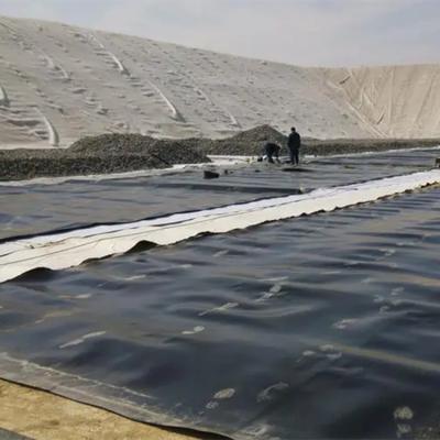 Cina Geomembrana HDPE a doppia consistenza Soluzione versatile per rivestimenti per dighe e stagni per pesci in vendita