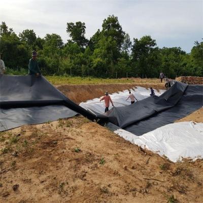 Cina Liner di stagno in HDPE in plastica ad alta densità da 2 mm per progetti di impermeabilizzazione e di soluzione totale in vendita