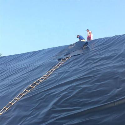Cina Progetto di geomembrana impermeabile per discarica lunghezza 50-200m Supporto tecnico online in vendita