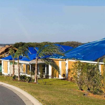 China Tenda de cobertura de toldo de plástico PE Container aberto de folha de telha de lonas com largura de 2M-50M à venda