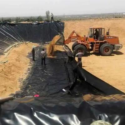 Cina Capacità di progettazione grafica Geomembrana in HDPE vergine 100% per costruire stagni di pesci e gamberetti in vendita