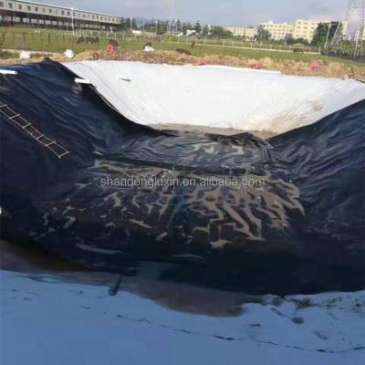 Cina 1Geomembrana in HDPE texturizzata da 2,5 mm per rivestimento di discariche di rifiuti e barriera di infiltrazione in vendita
