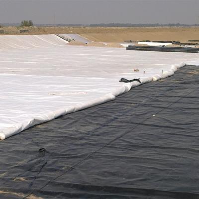 Cina Geomembrana a doppia superficie liscia in HDPE da 1 mm per l'installazione di rivestimenti per stagni di allevamento di gamberetti in vendita