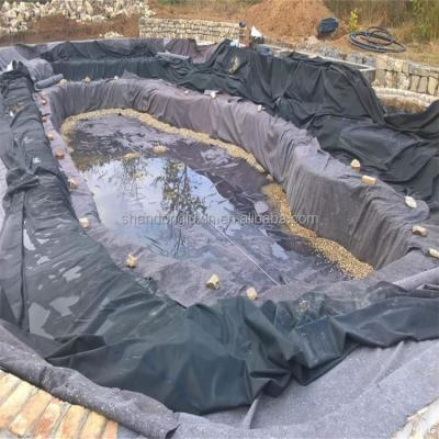 Cina Geomembrana in HDPE da 1 mm per piscine di pesce, rivestimento di agricoltura, Geomembrana in HDPE, stile di progettazione industriale in vendita