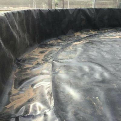 Cina Geomembrana in HDPE a doppio liscio/trama per stagno di allevamento di pesci in polietilene ad alta densità in vendita