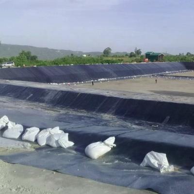 Cina Geomembrana in HDPE a doppio liscio/trama per stagno di allevamento di pesci in polietilene ad alta densità in vendita