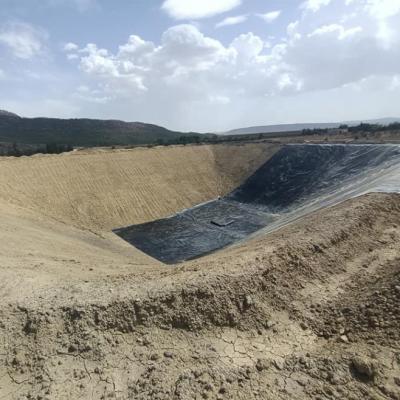Cina Geomembrana in HDPE a doppio liscio/trama per stagno di allevamento di pesci in polietilene ad alta densità in vendita