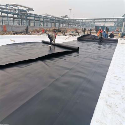 Cina Liner di diga a geomembrana in HDPE con design industriale e superficie a doppia consistenza in vendita