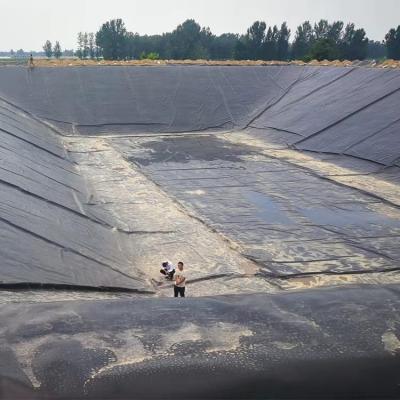 Cina Geomembrana HDPE per stagni e discariche in stile di progettazione industriale con sovrapposizione in vendita