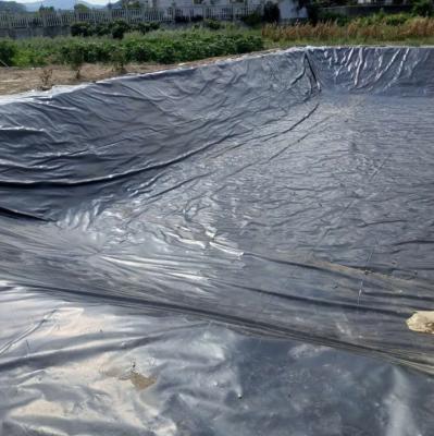 Cina Geomembrana in HDPE da 1 mm con doppia superficie liscia e doppia consistenza in vendita
