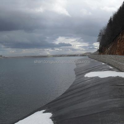 Cina Geomembrana di HDPE per stagno di pesci Larghezza 1m-8m Capacità di soluzione del progetto Altri in vendita
