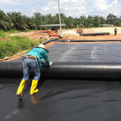 Cina Geomembrana di HDPE per stagno di pesci Larghezza 1m-8m Capacità di soluzione del progetto Altri in vendita