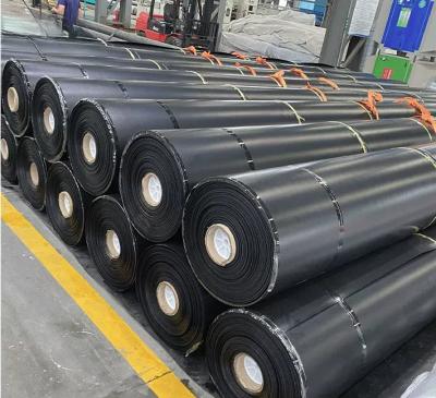 Cina Geomembrana di polietilene EVA ad alta densità spessore 1 mm e 2 mm per discariche di stagni ittici in vendita