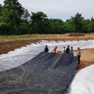 Cina 1-6m di larghezza Geomembrana nera ecologica per stagni ittici e discariche in vendita