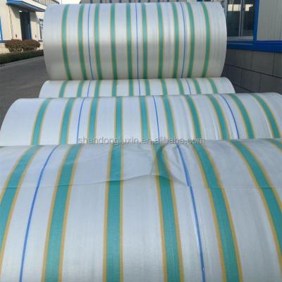 Cina Telaio in PE a colori personalizzati impermeabile alla polvere impermeabile alla pioggia impermeabile all'umidità per auto in vendita