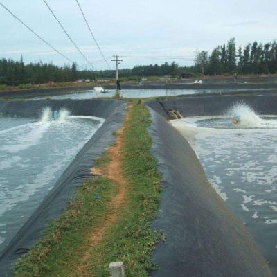 Cina Geomembrana anti-perforazione prefabbricata da 50-200 m di lunghezza per stagni di pesce e pendii autostradali in vendita