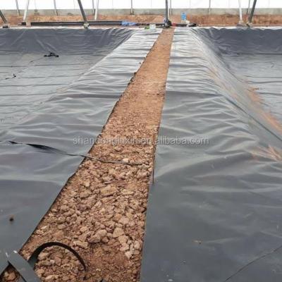Cina Geomembrana a texture singola per discariche anti-siccaggio e prevenzione dell'inquinamento in vendita