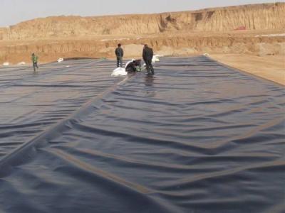 Cina Geomembrana prefabbricata in HDPE per rivestimenti impermeabili nelle piscine e nelle piscine paesaggistiche in vendita